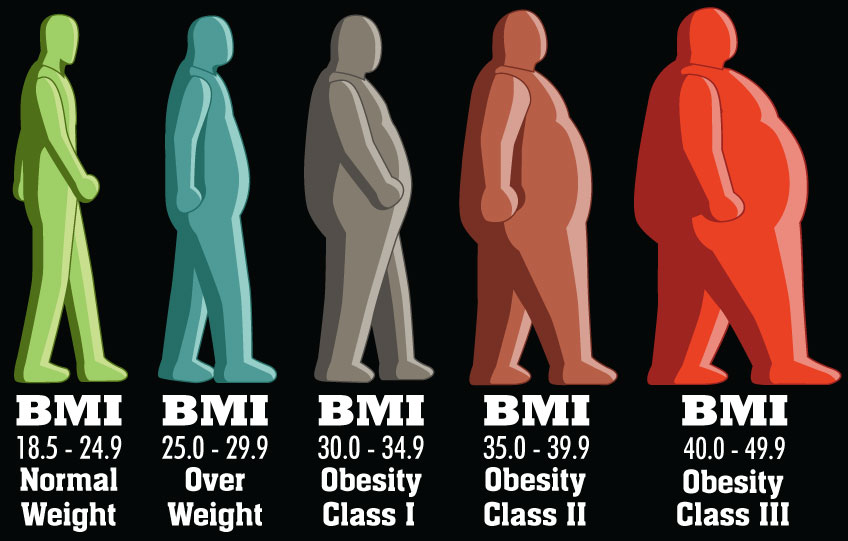 Bmi Risk Management 365 Bmi Risk Management 365